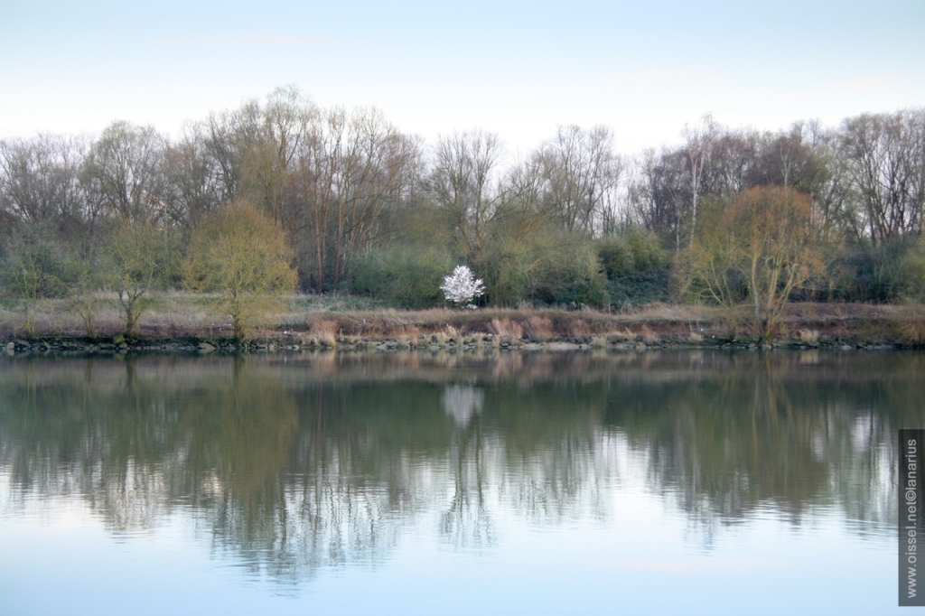 L’ÎLE AUX BOEUFS | OISSEL.NET
